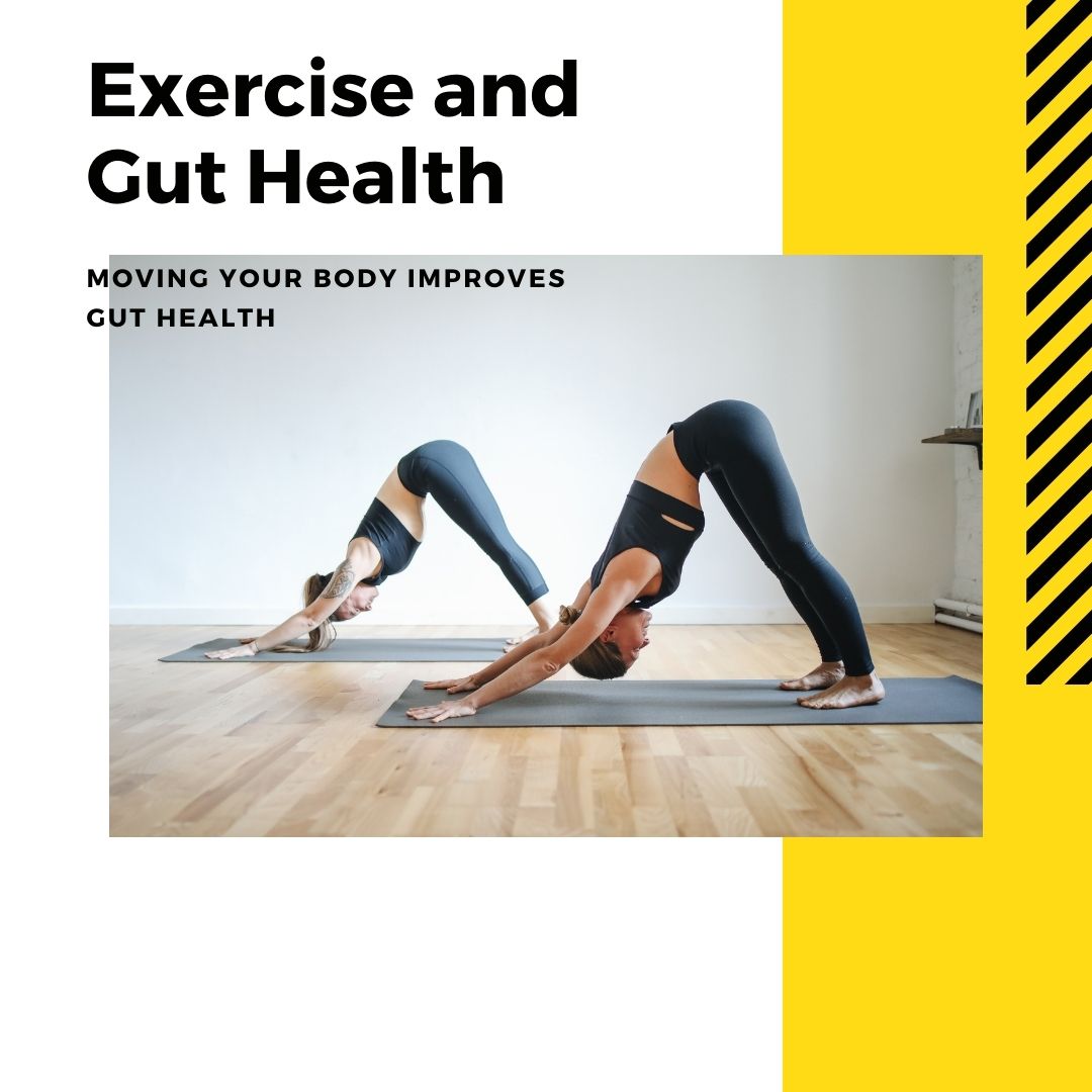 Exercise and Gut Health – ALL FOR BETTER LIFE